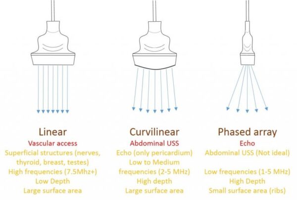Ultrasound Theory Module - FAMUS